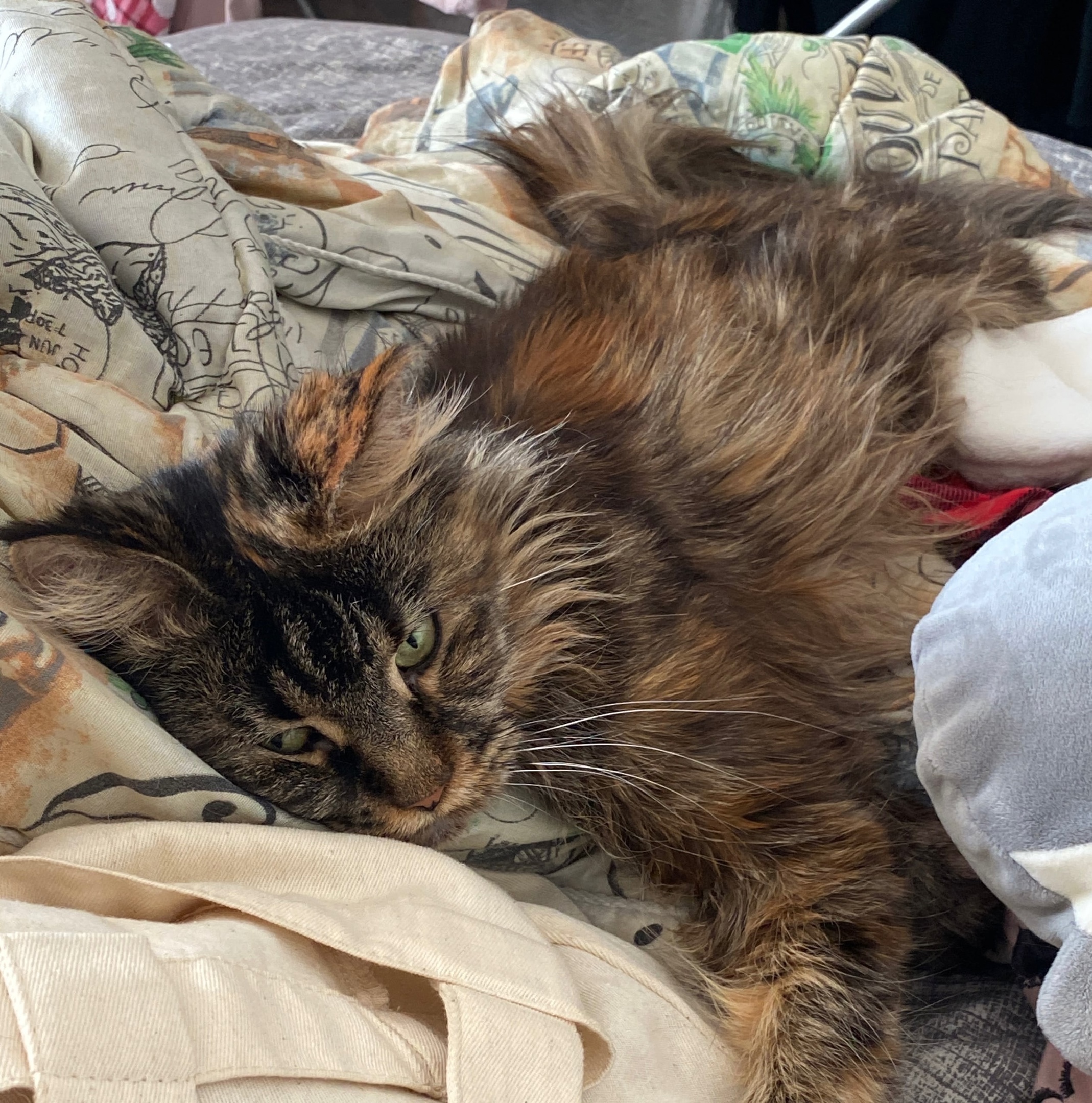 Закрывающий тег