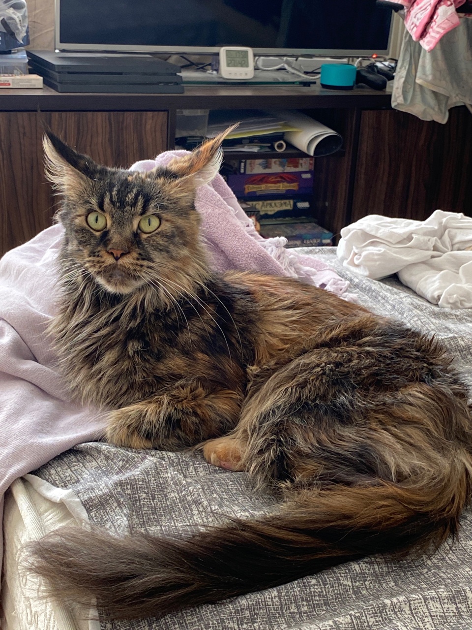 Закрывающий тег